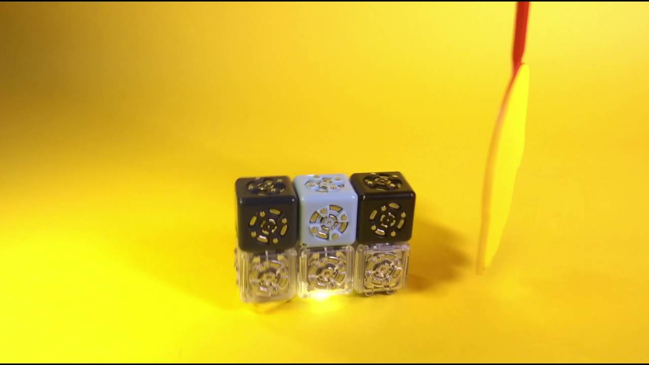 Cubelets Robot: Tokyo Drift - YouTube