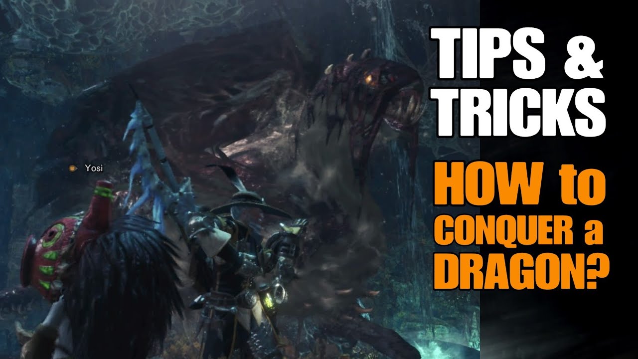 How to conquer a dragon? | Tips & Tricks - YouTube