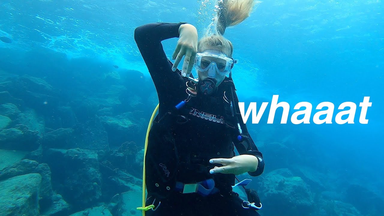 SCUBA DIVING for the first time! - YouTube