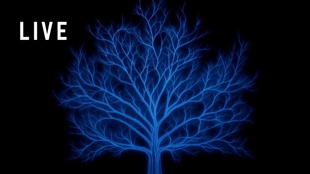 Deep Sleep Music 🛑 LIVE | Night Tree Relaxation Calm, Delta Waves ...