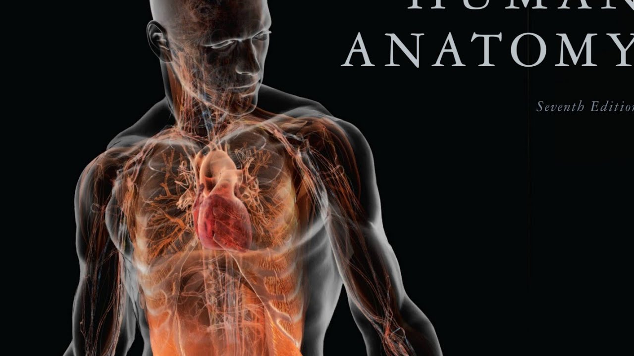 Anatomy Revision (Articular system)|FOMSEC and FOMENIN - YouTube