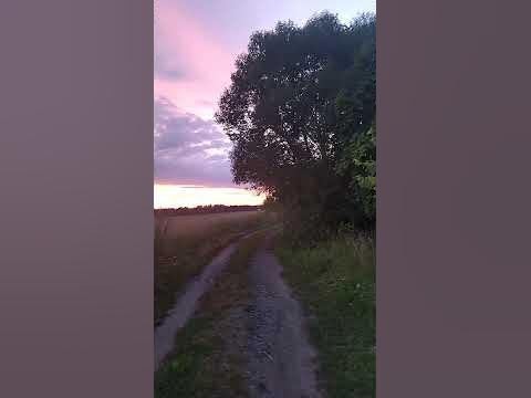Утренняя заря. - YouTube