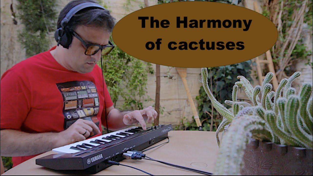 ambient live looping / yamaha reface dx - YouTube