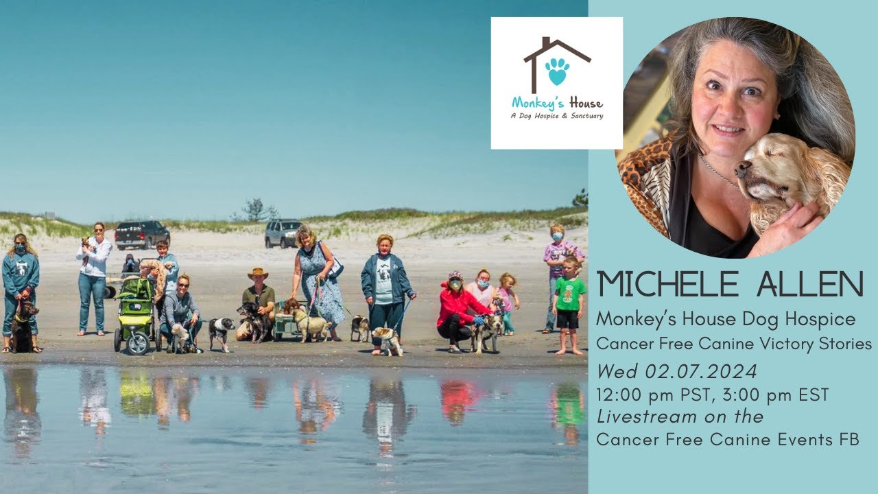 Michele Allen Cancer Free Canine Victory Stories - YouTube