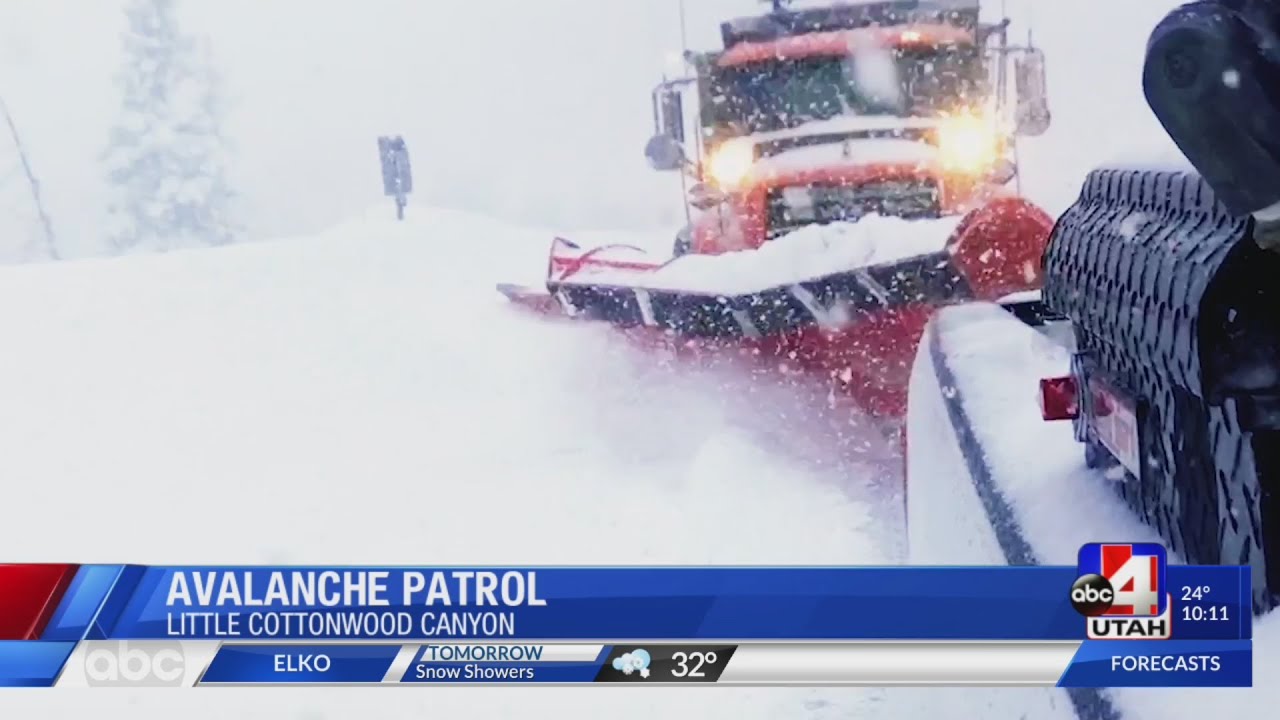 Avalanche Patrol Alana - YouTube