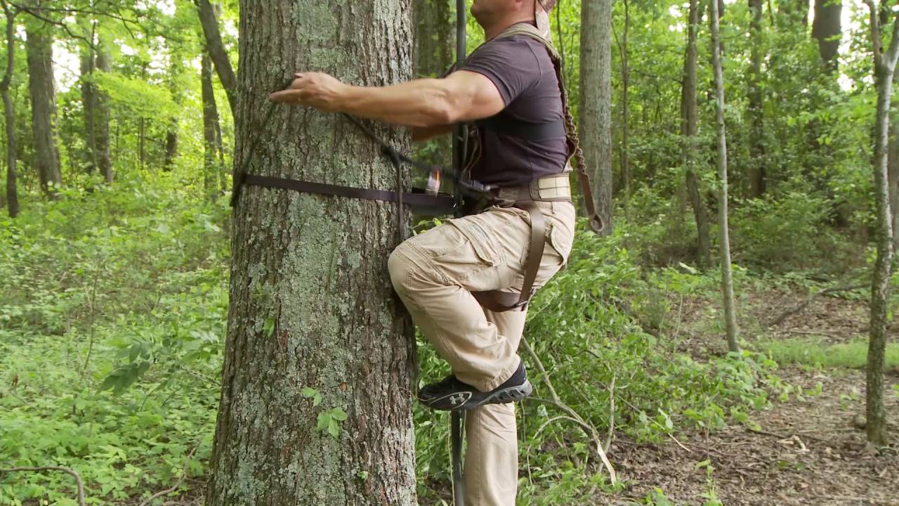 Summit Mammoth Hang-on Tree Stand | Safety Instructions - YouTube