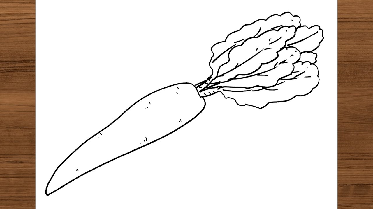How To Draw Radish Step by Step / Vegetable Drawing / Radish Drawing ...