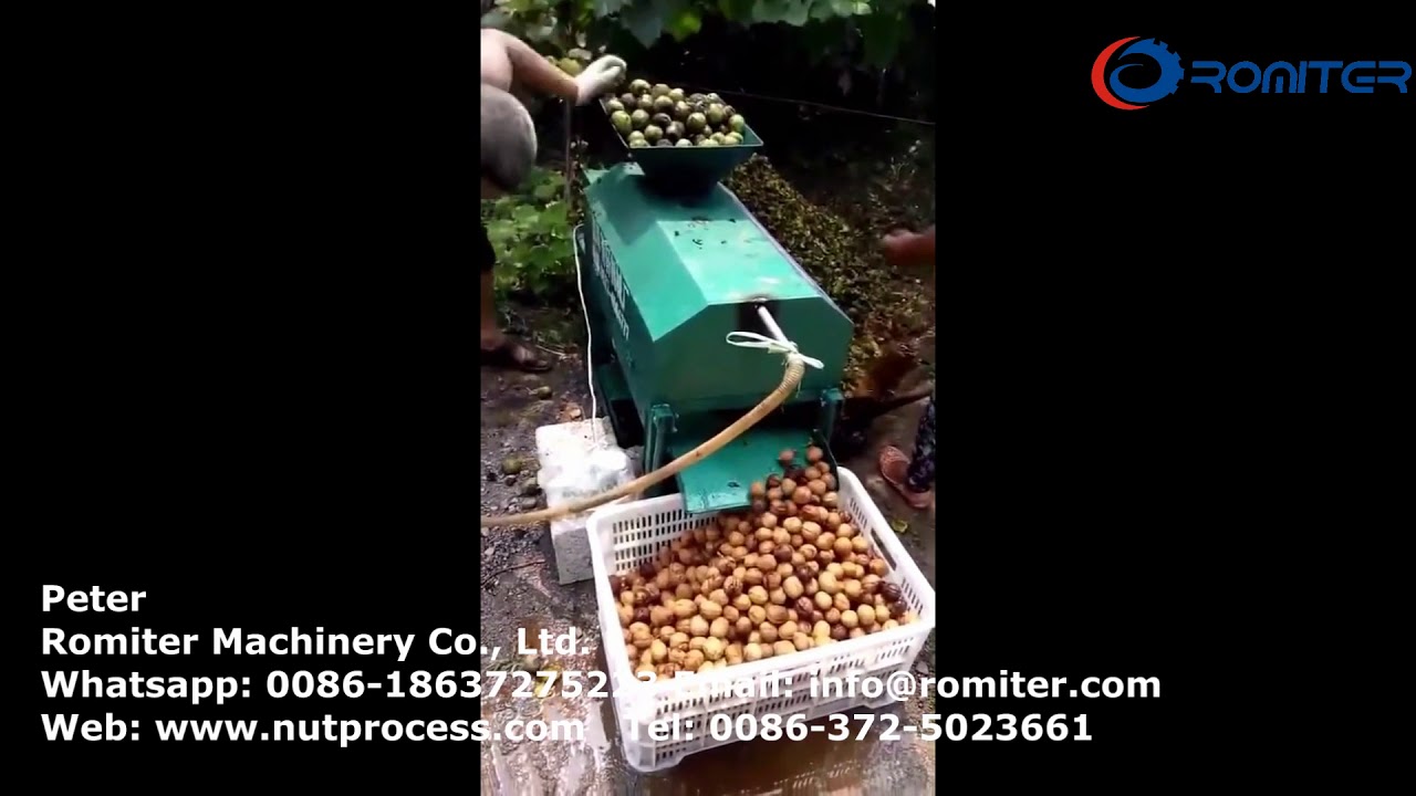 Automatic Green Walnut Peeling Machine - YouTube