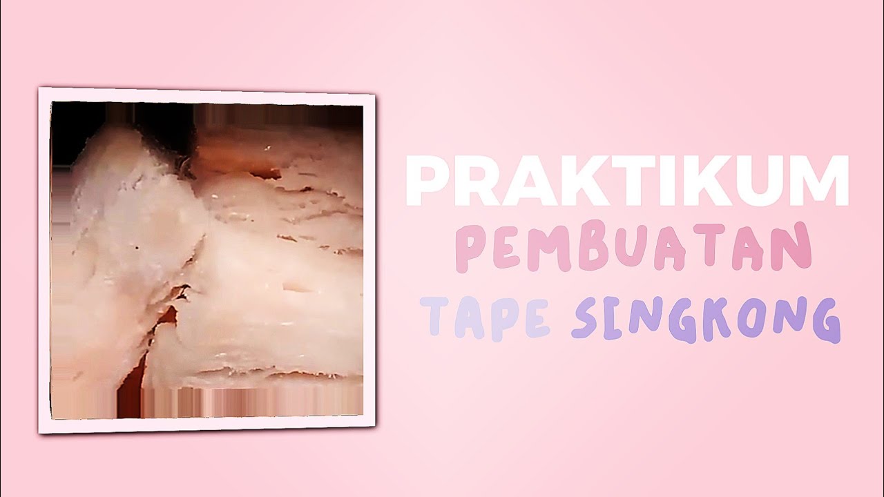 Proses pembuatan tape singkong + penjelasan teori nya! - YouTube