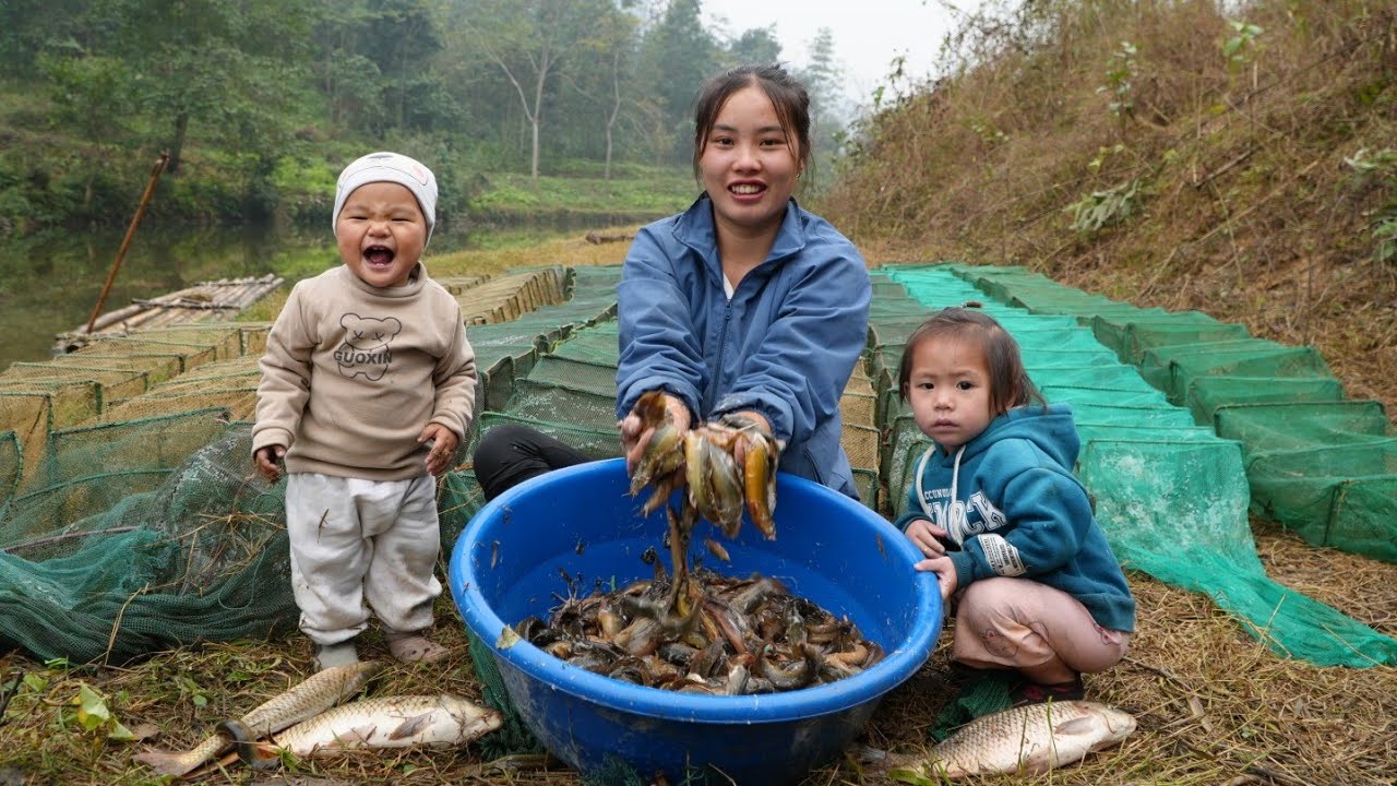 How to catch fish, trap river fish and bring them to the market to sell ...