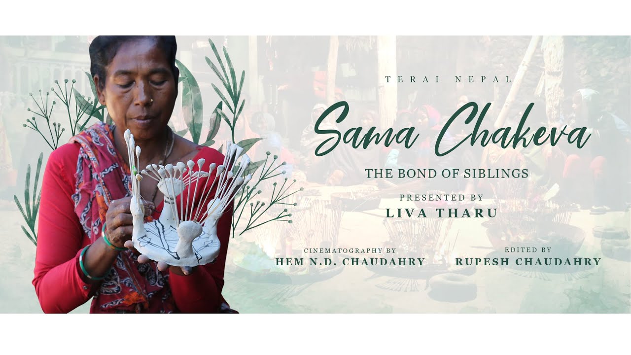 Sama Chakewa || सामा चकेवा || The Festival of Brother and Sister Bond ...