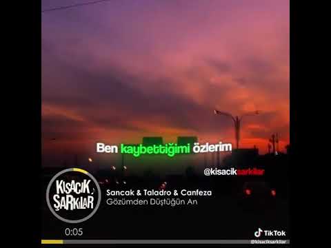 Kısacık şarkılar