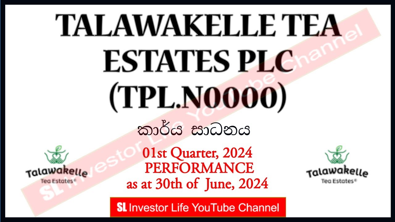TALAWAKELLE TEA ESTATES PLC 1st QUARTER, 2024 Performance. Colombo ...