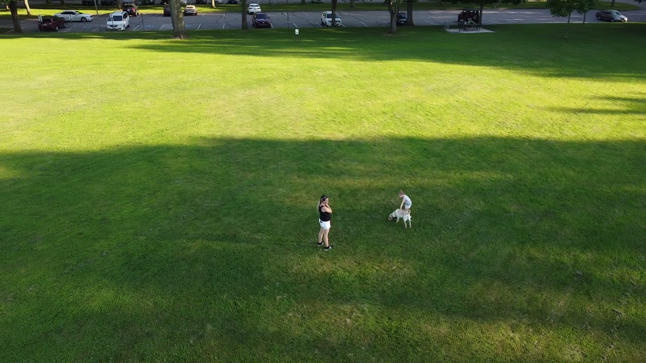 DJI Mini 2 Helix Quickshot - YouTube