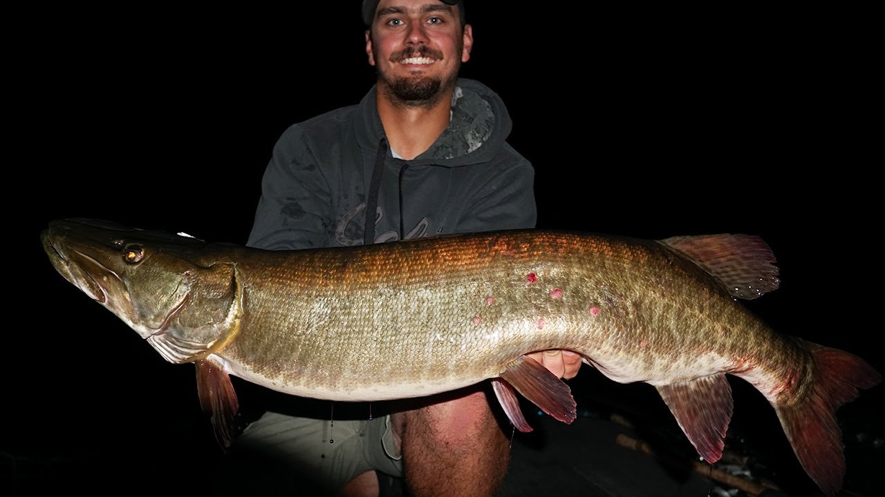 Fall MUSKY FISHING Northern Wisconsin - NIGHT CATCH - YouTube