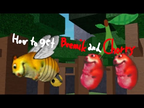 How To Get Beemik and Chorry In Find The Chomiks. - YouTube