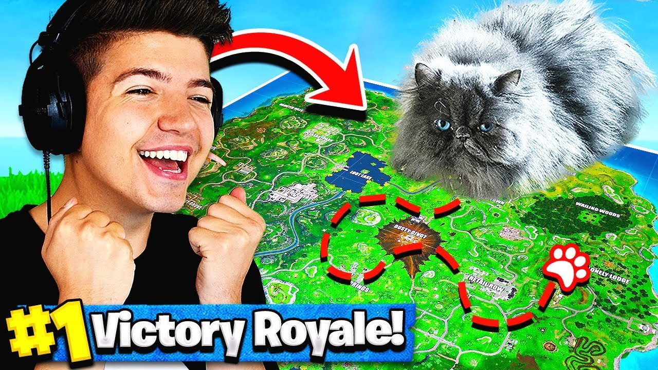 Using A CAT To WIN FORTNITE Battle Royale! - YouTube