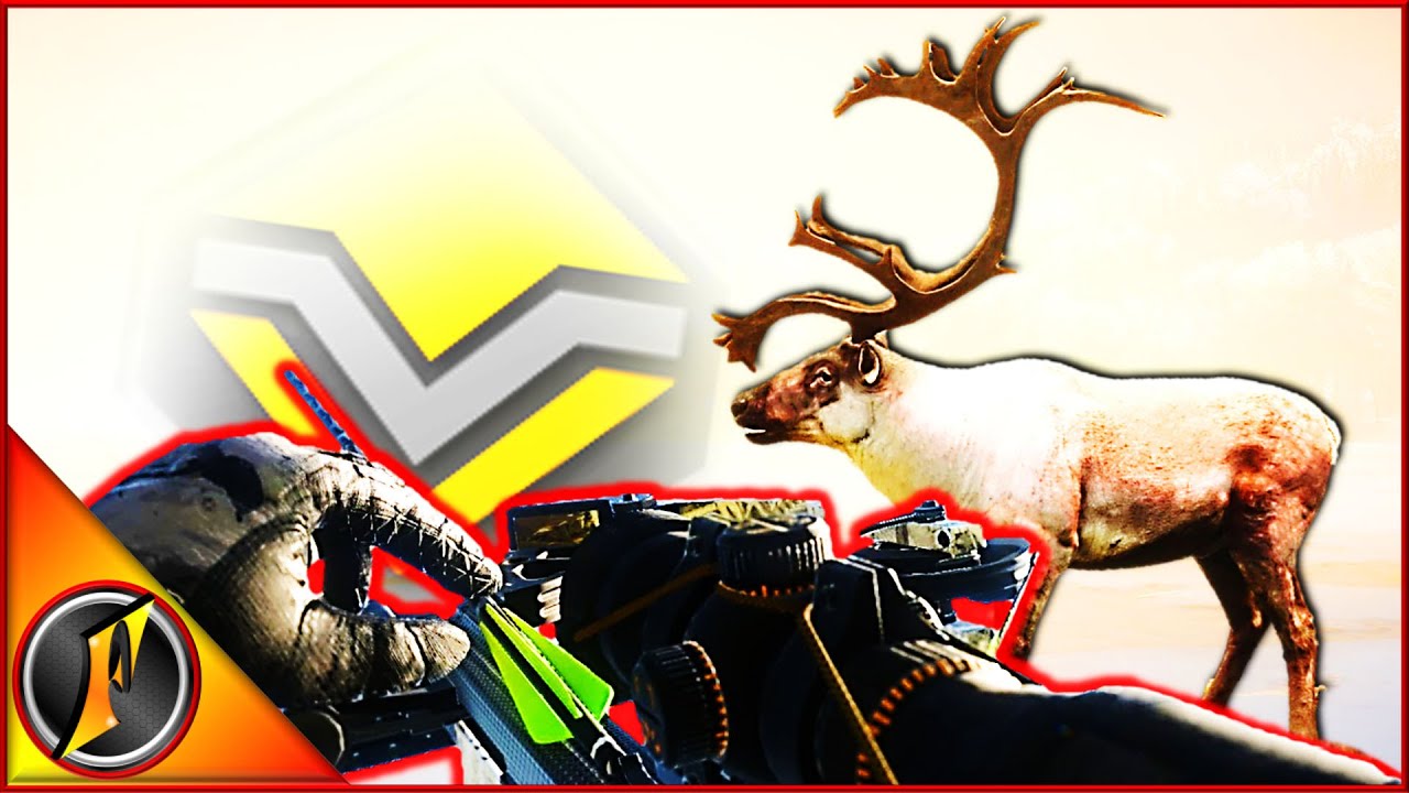 Dusting Off the Crossbow for a Medved-Taiga Hunt! - YouTube