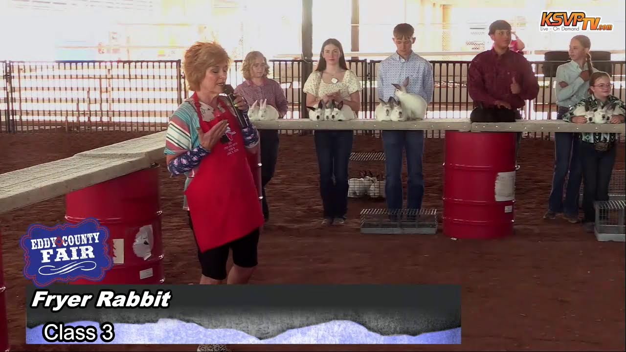 2025 Eddy County Fair: Rabbit Show - YouTube