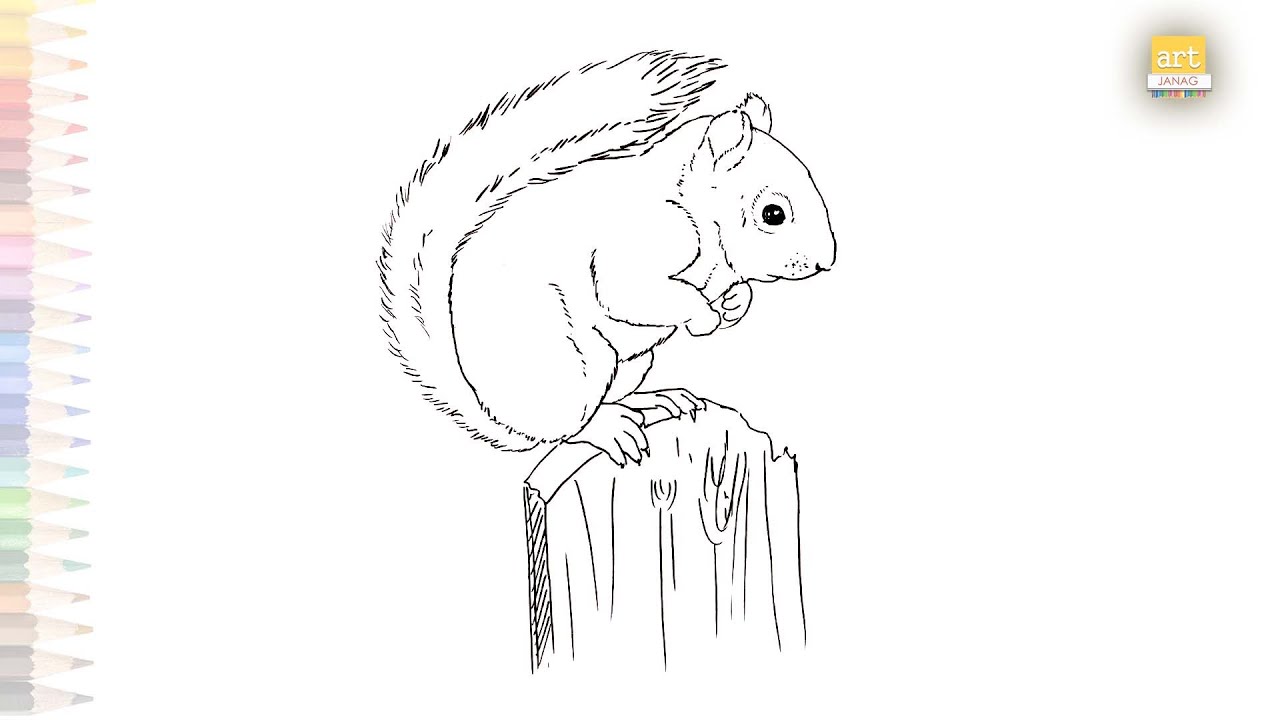 American Red Squirrel drawing easy | Dibujo de ardilla roja | How to ...
