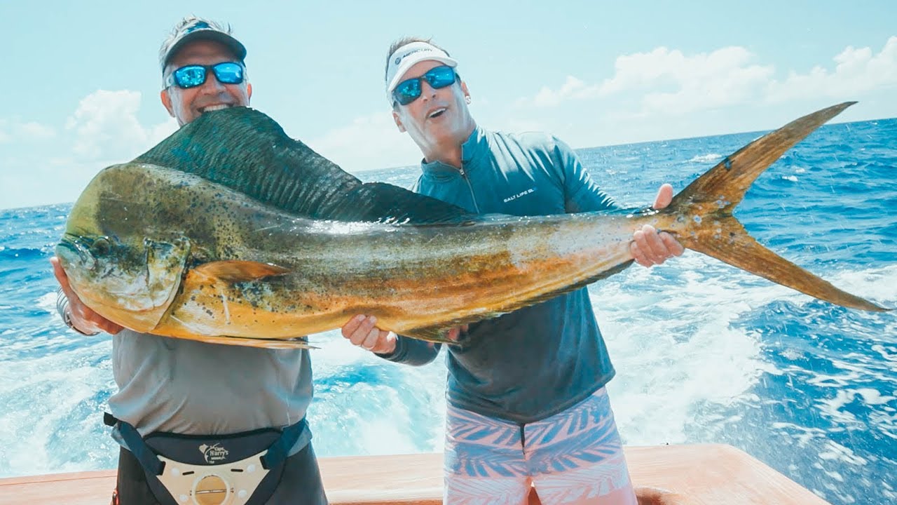 MASSIVE Blue Marlin Catch in Capcana - YouTube