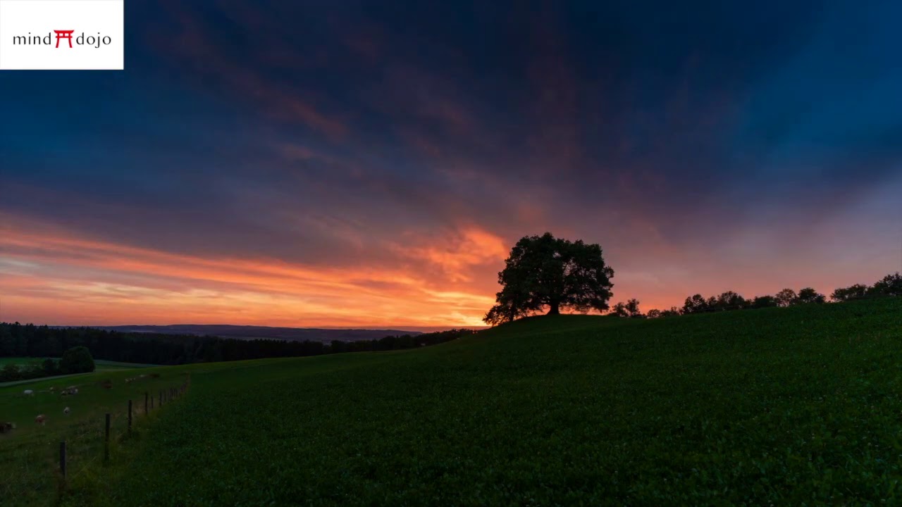 Relax music with amazing nature landscapes to help you sleep better ...
