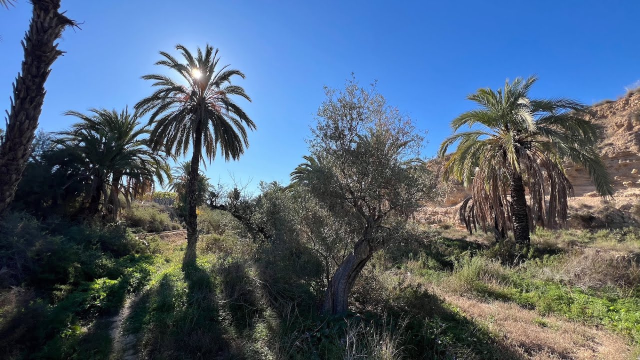 Barinas hike, Murcia Spain 2025 - YouTube