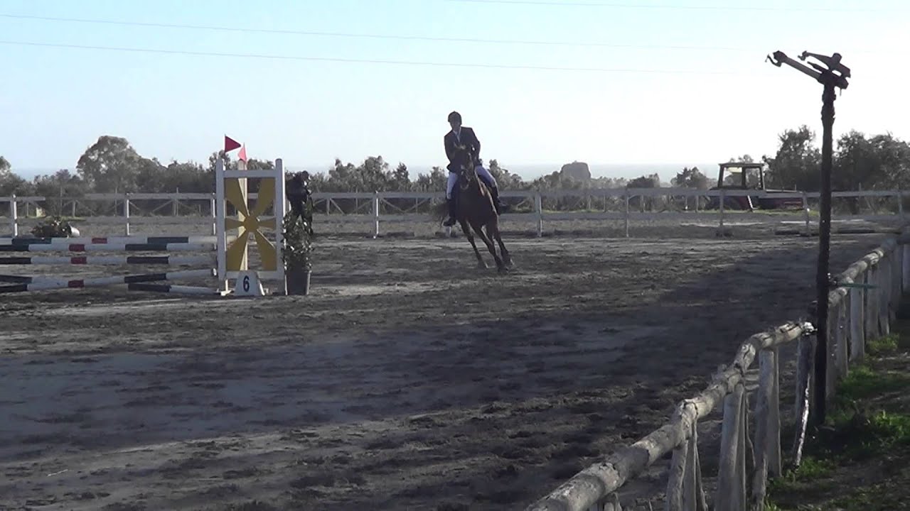 Matteo Cirulli Equiconfor 2014 03 24 - YouTube