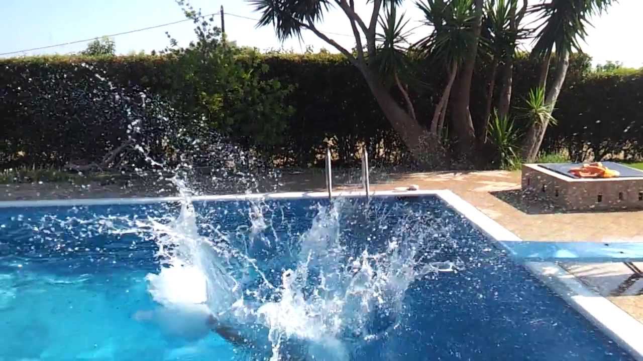 Gainer Into Pool - YouTube