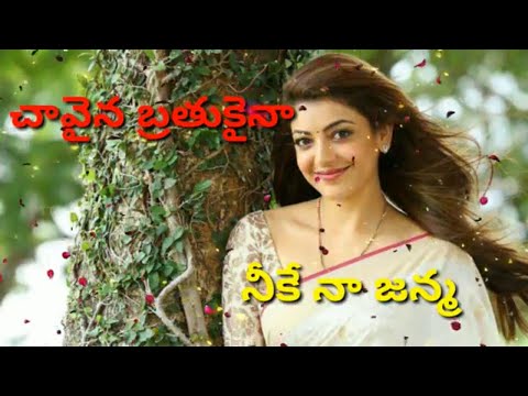 New Telugu Love Songs For Whatsapp Status Videos || Top Trends & Entertainment ||