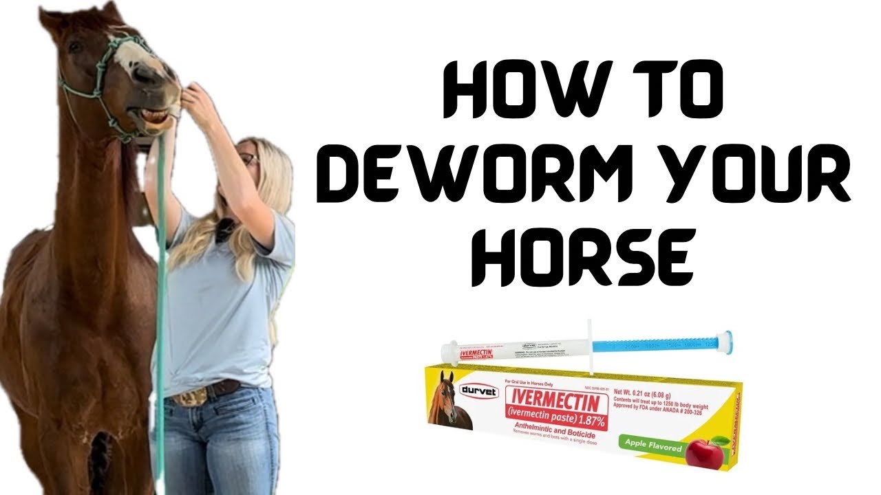 How to Deworm Your Horse!! - YouTube