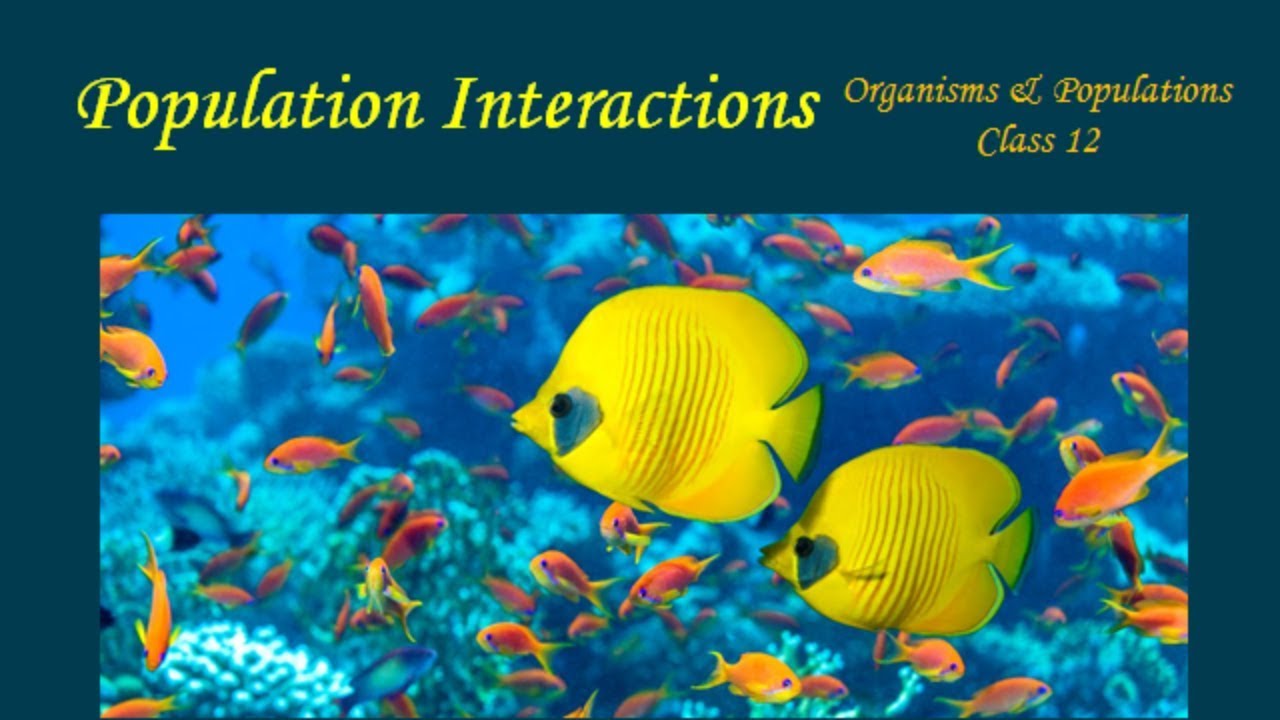 Population Interactions Organisms Populations Part 5 Biology population-interactions-organisms-populations-part-5-biology