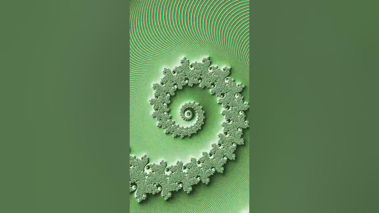Fractal Zoom, Visualizing The Infinite, Mandelbrot Fractal, Day 100 - #shorts - YouTube