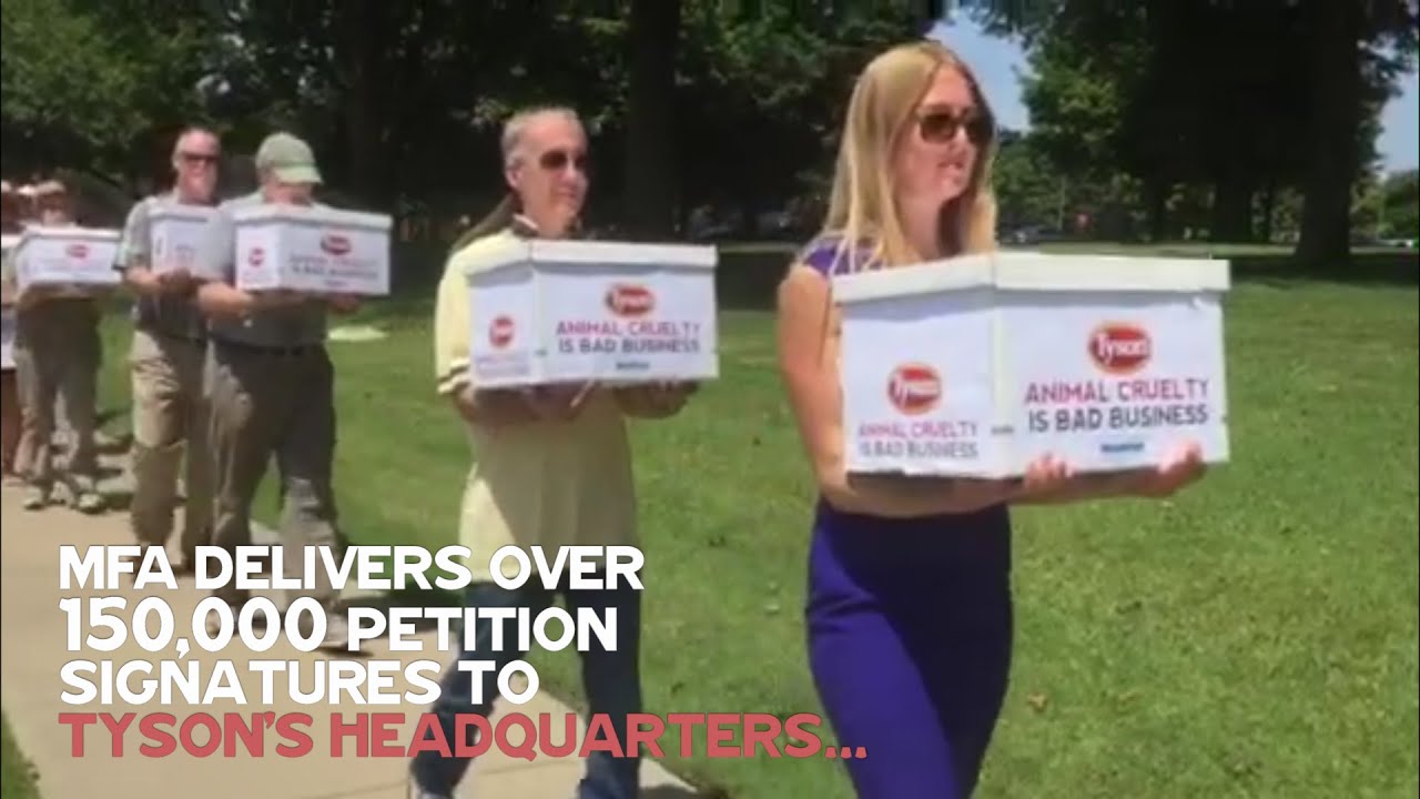 Over 150,000 Signatures Delivered to Tyson Foods - YouTube