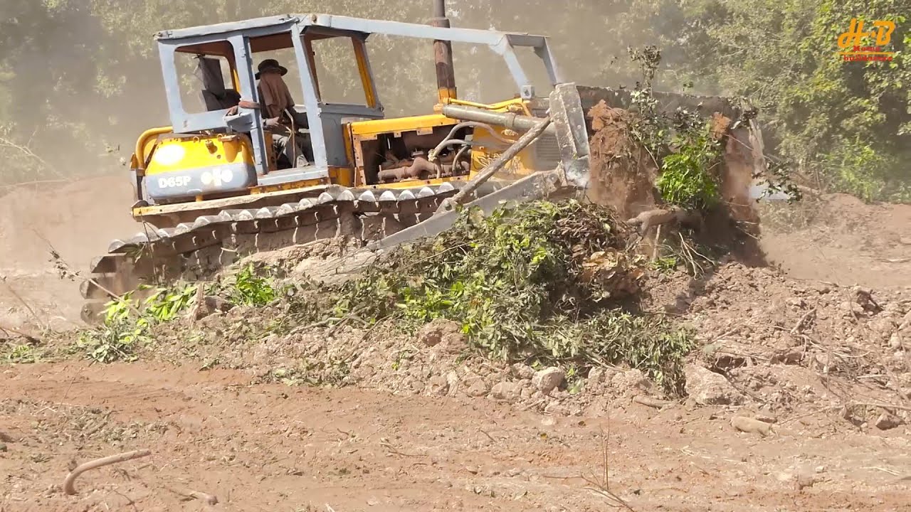 How the Komatsu D65P Bulldozer Makes Forest Road - YouTube
