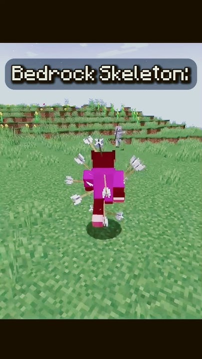 Minecraft Java skeleton vs bedrock skeleton 💀 #minecraft #shorts - YouTube