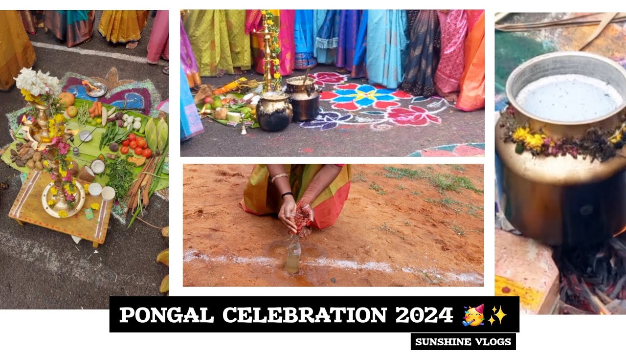 Pongal Celebration In My College ️/ APCM /Thoothukudi /Pongal 2024 ...