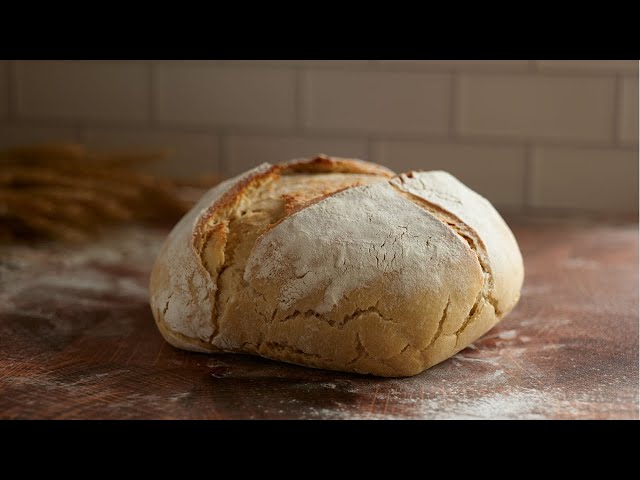 Bread Photography Blur