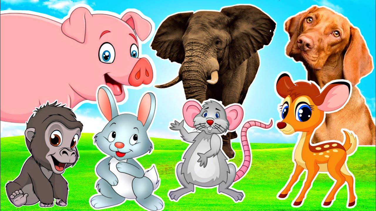 Farm animals video with Sounds Tiger, Lion, Cat, Elephant, Horse, Cow ...