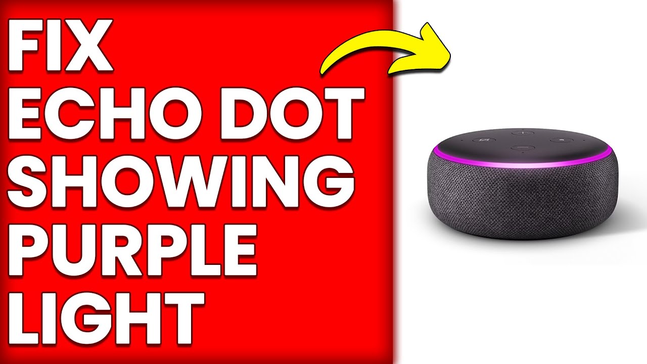 How To Fix Echo Dot Showing Purple Light - Quickly Solved (Why Is Echo ...