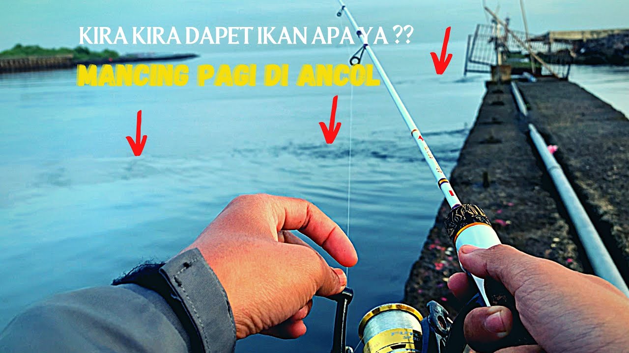 Berasa Mancing Di Empang ‼️ Mancing dasaran di ancol , mancing di ...