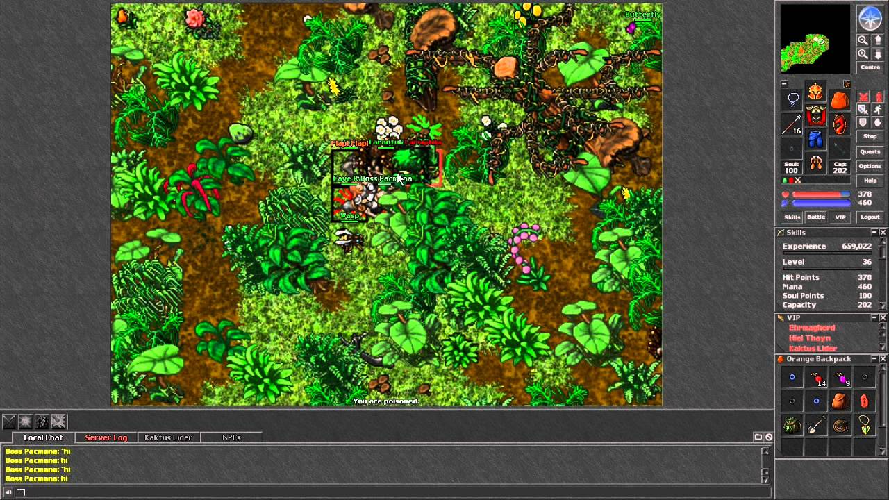 Tibia The Hide - YouTube