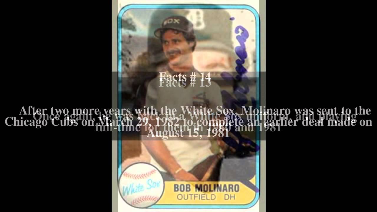 Bob Molinaro Top # 21 Facts - YouTube