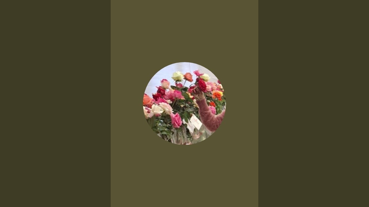 Shazia Akhtar is live - YouTube