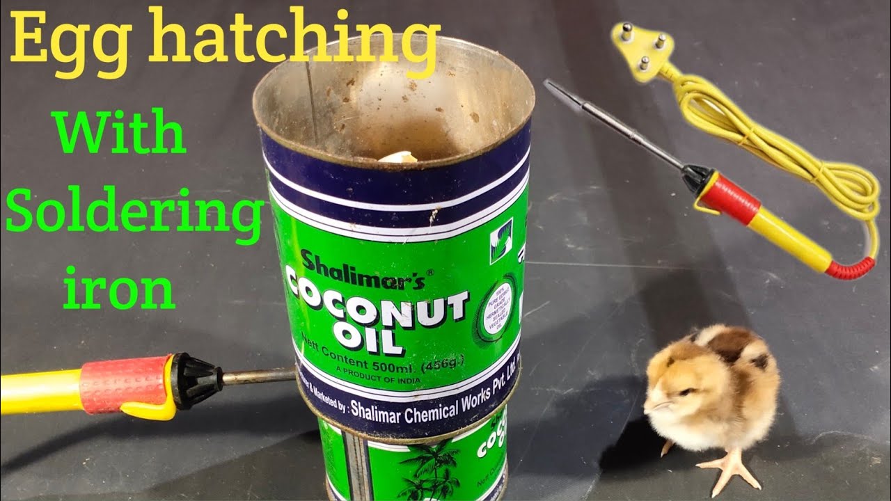 egg hatching with soldering iron | how to hatching chicken egg with ...