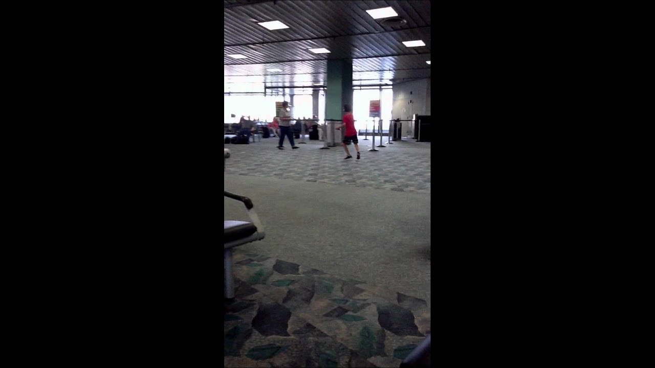 prancer goes spastic in airport LOL - YouTube