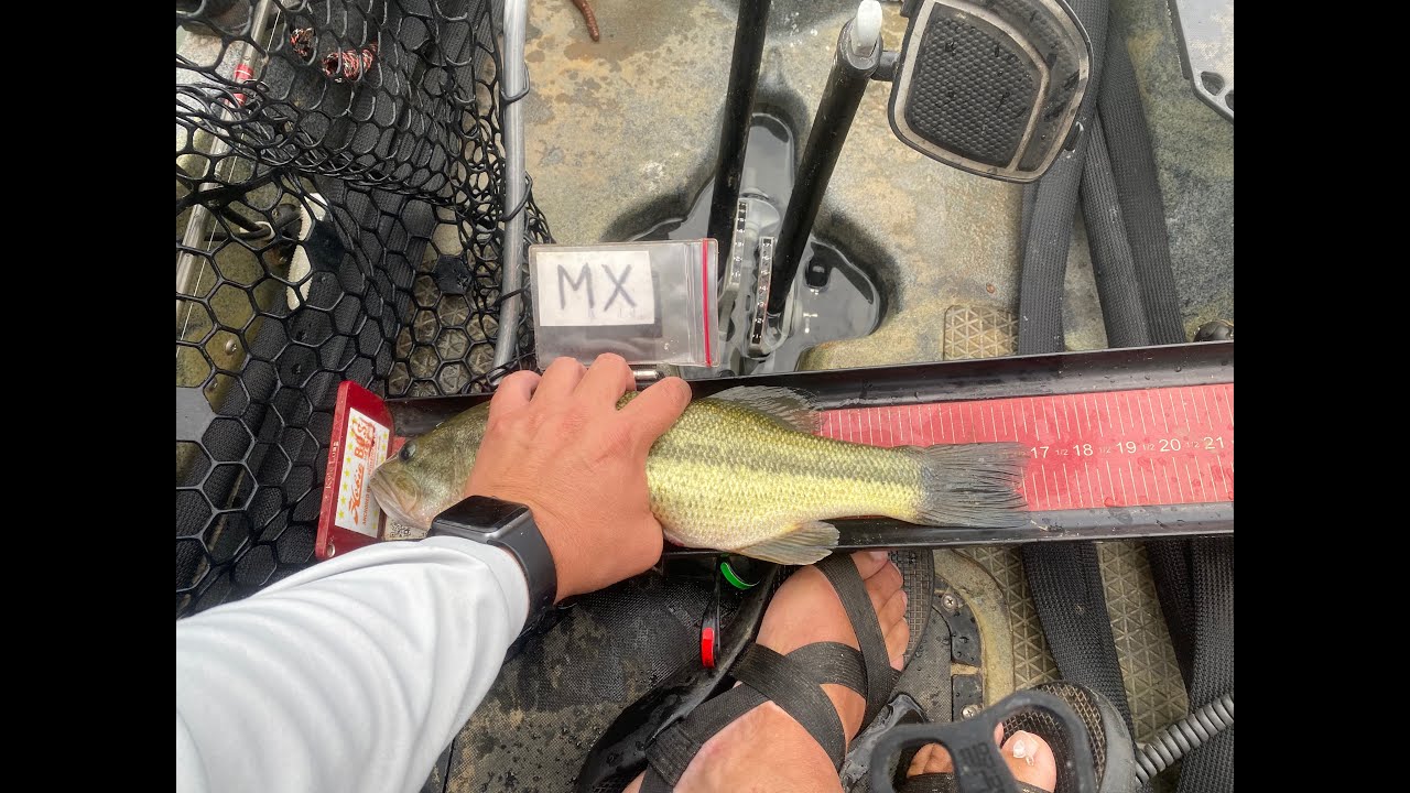 2022 Natural State Kayak Anglers Classic Bass Tournament. Day One ...