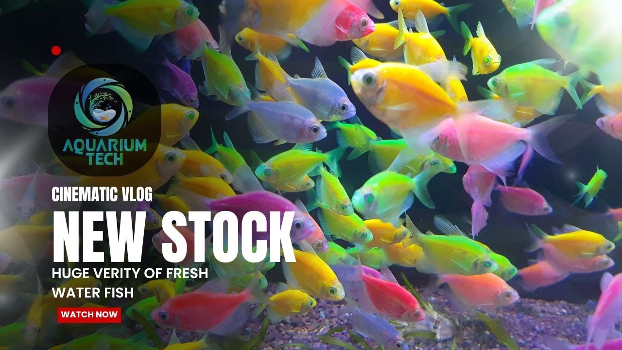 New Stock Arrived Today - YouTube