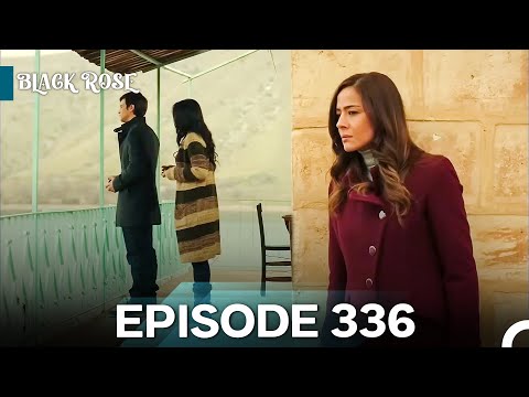 Black Rose Episode 336