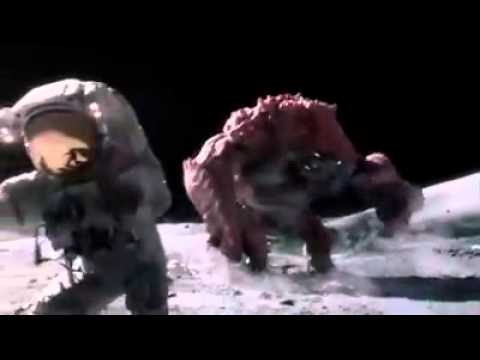 Video engraçado morto pelo peido